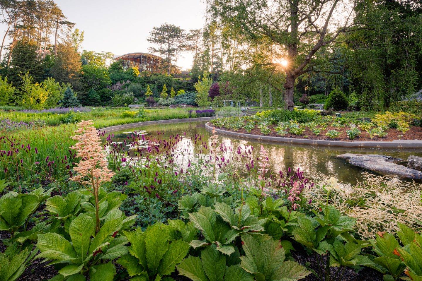 21 Toronto Botanical Garden Ideas You Should Look | SharonSable