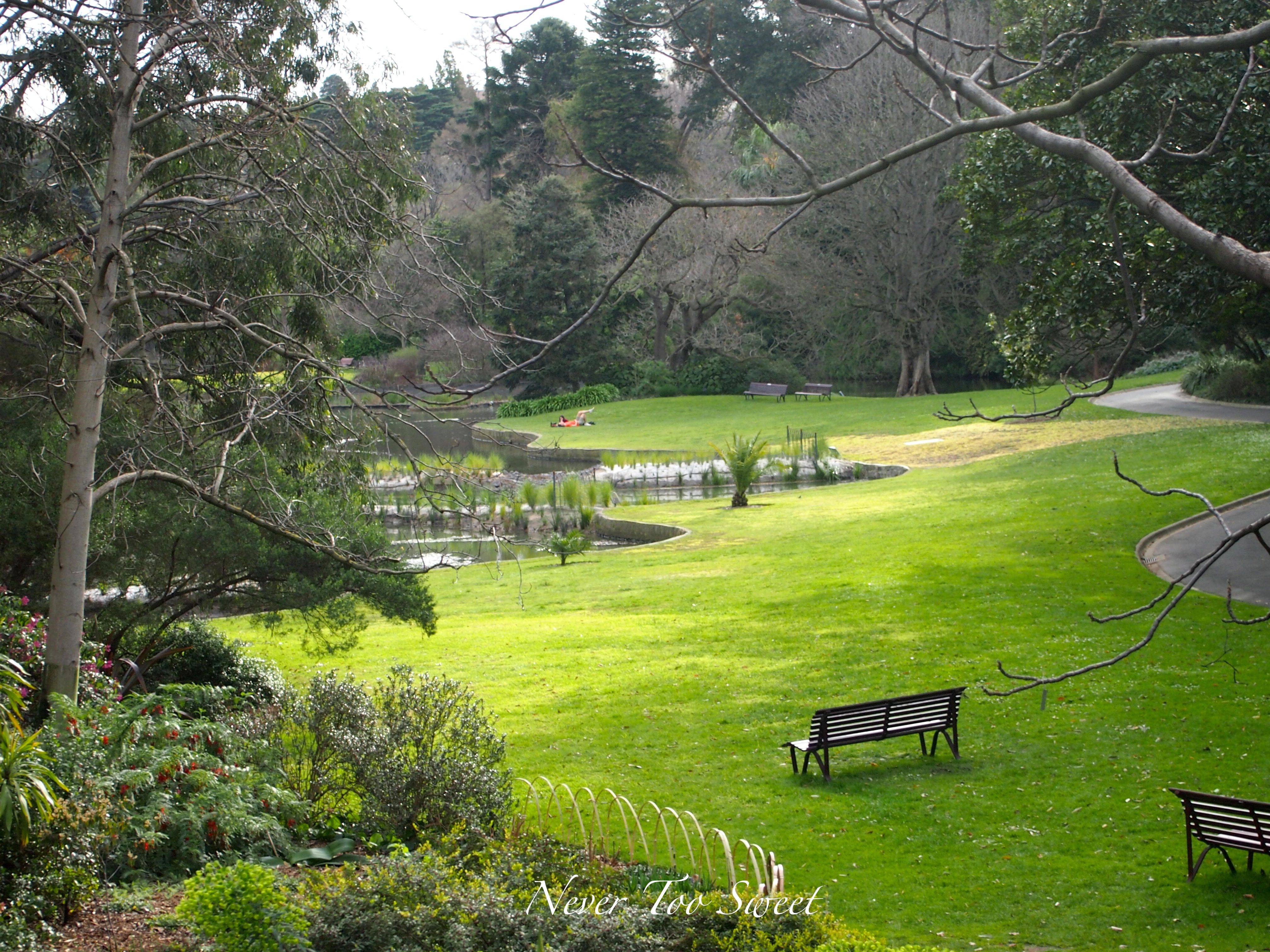 22 Melbourne Botanic Garden Ideas You Cannot Miss | SharonSable