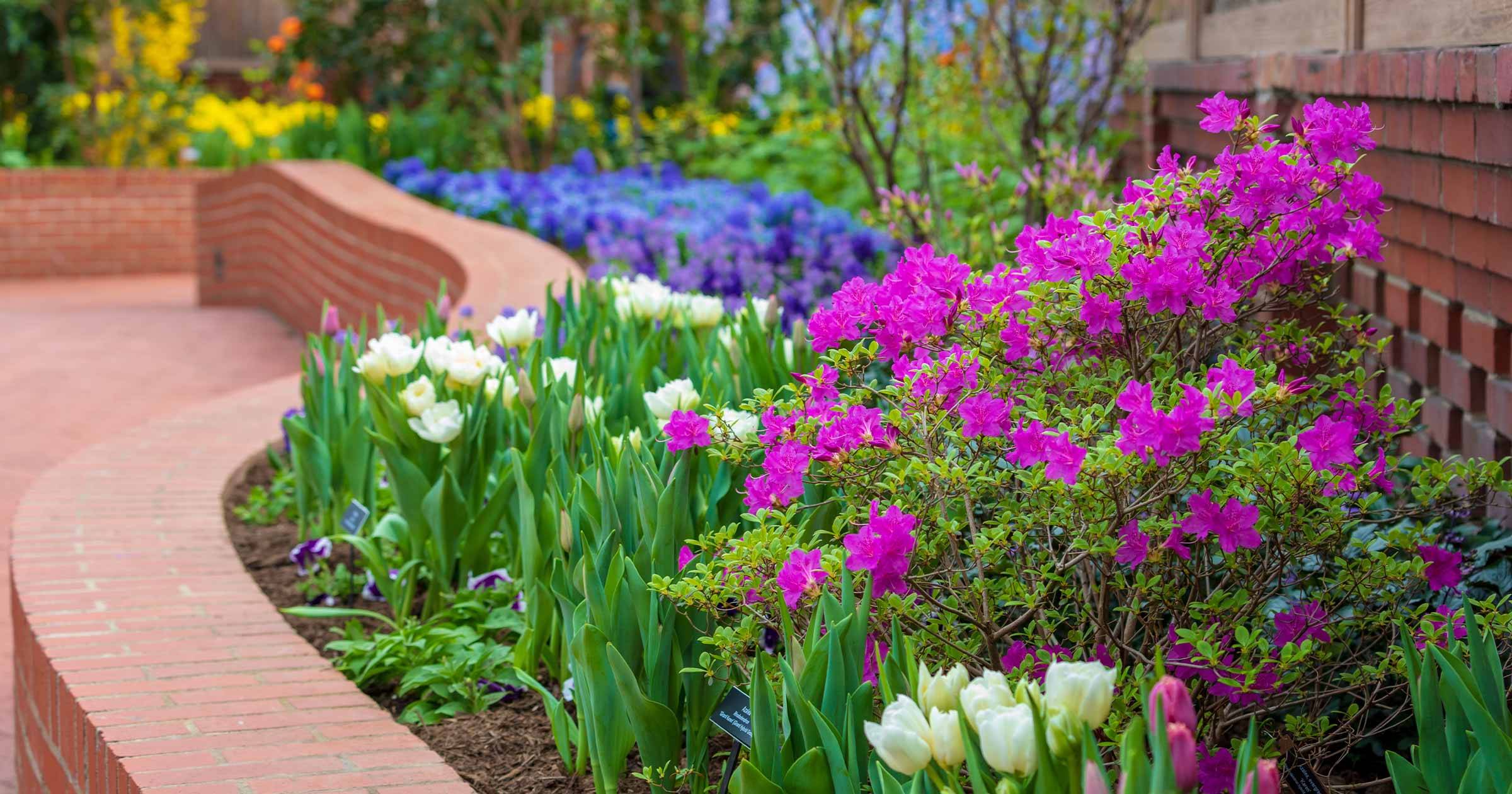 21 Spring Botanical Garden Ideas For This Year | SharonSable