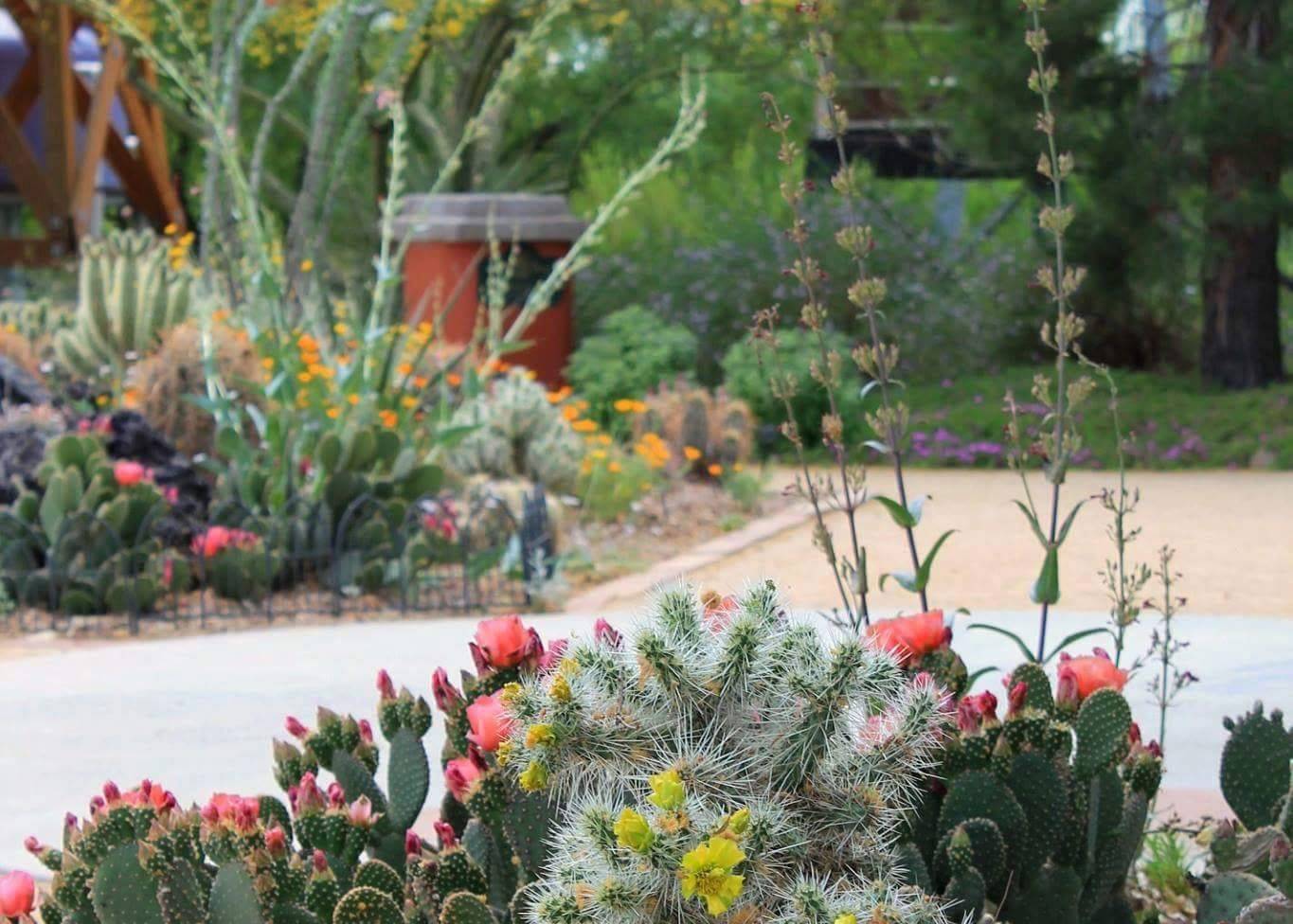 21 Spring Botanical Garden Ideas For This Year | SharonSable