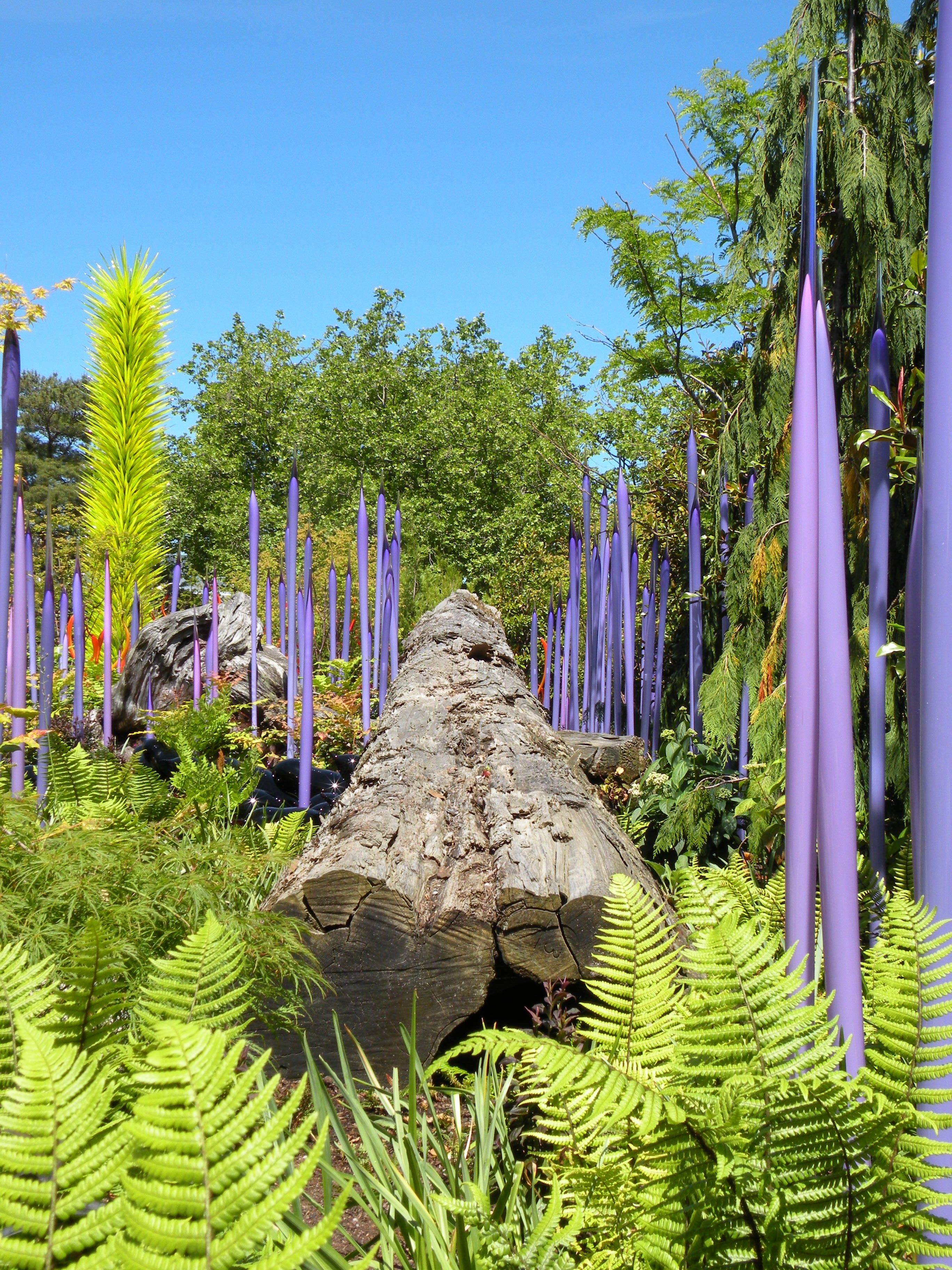 25 Seattle Botanical Garden Ideas Worth a Look | SharonSable