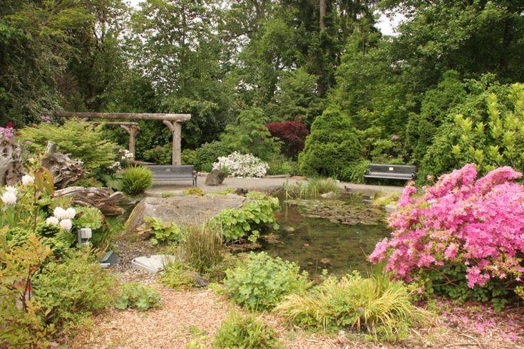 25 Seattle Botanical Garden Ideas Worth a Look | SharonSable