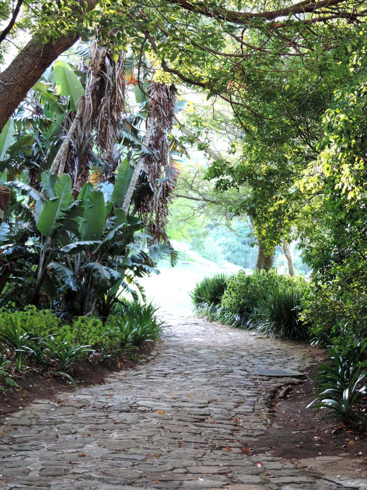 21 Cape Town Botanical Garden Ideas Worth to Check | SharonSable