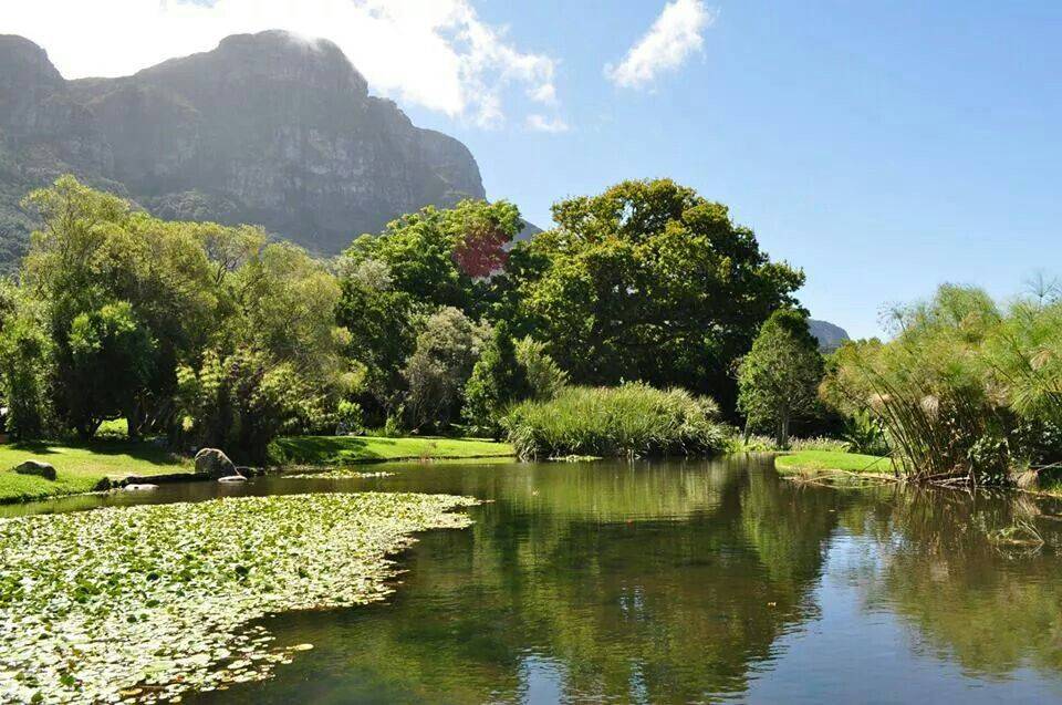 21 Cape Town Botanical Garden Ideas Worth to Check | SharonSable