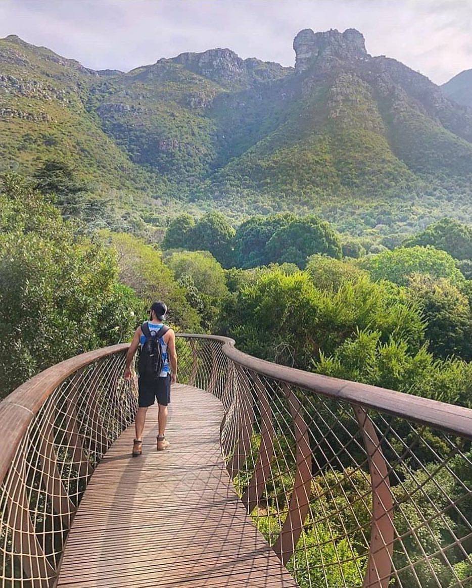 21 Cape Town Botanical Garden Ideas Worth to Check | SharonSable