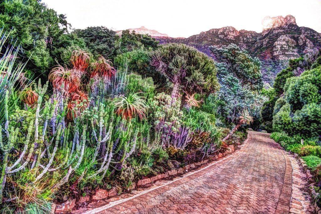 21 Cape Town Botanical Garden Ideas Worth to Check | SharonSable