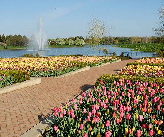 24 Chicago Botanical Garden Ideas You Must Look | SharonSable