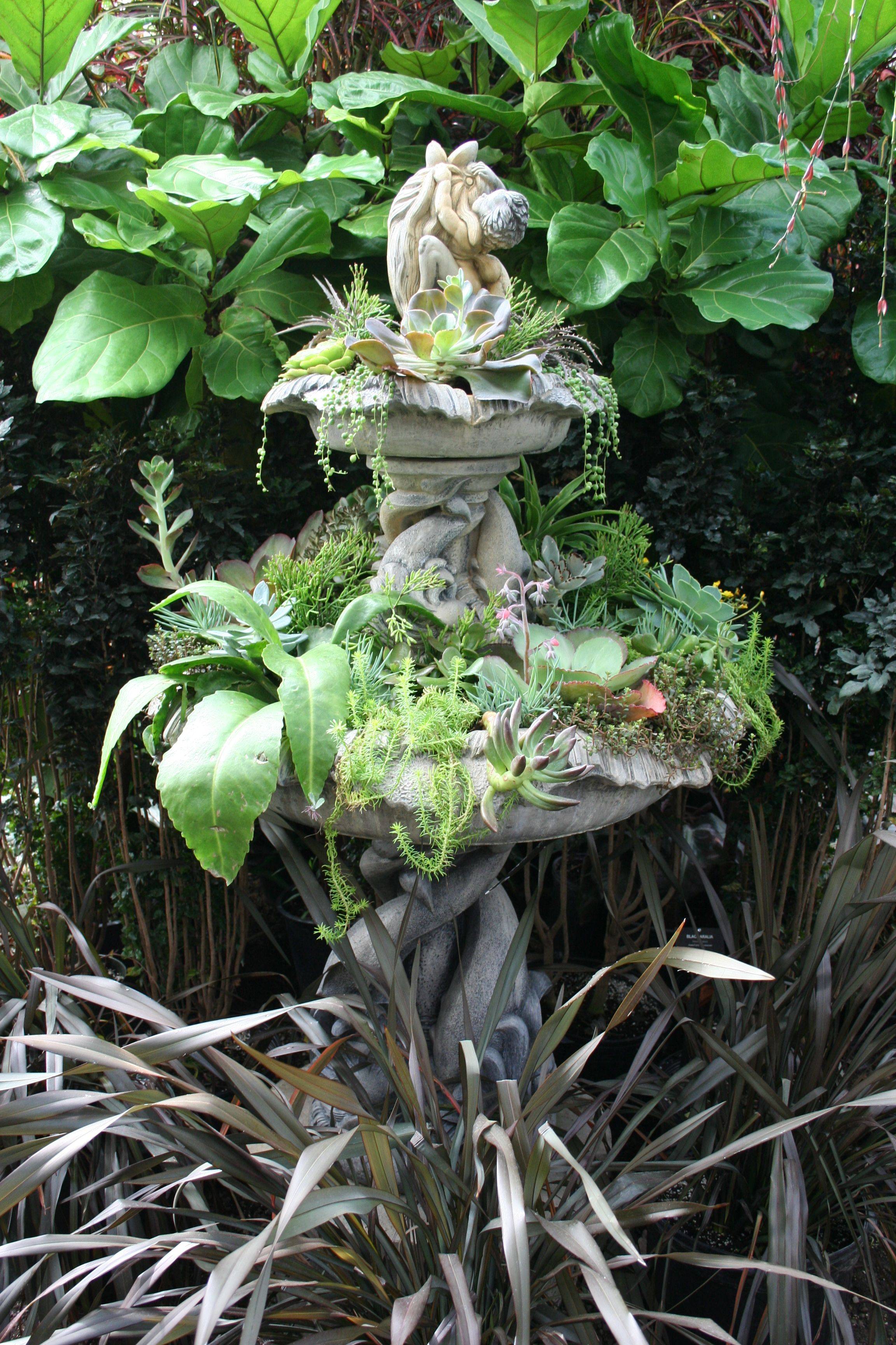 23 Buffalo Botanical Garden Ideas To Try This Year | SharonSable