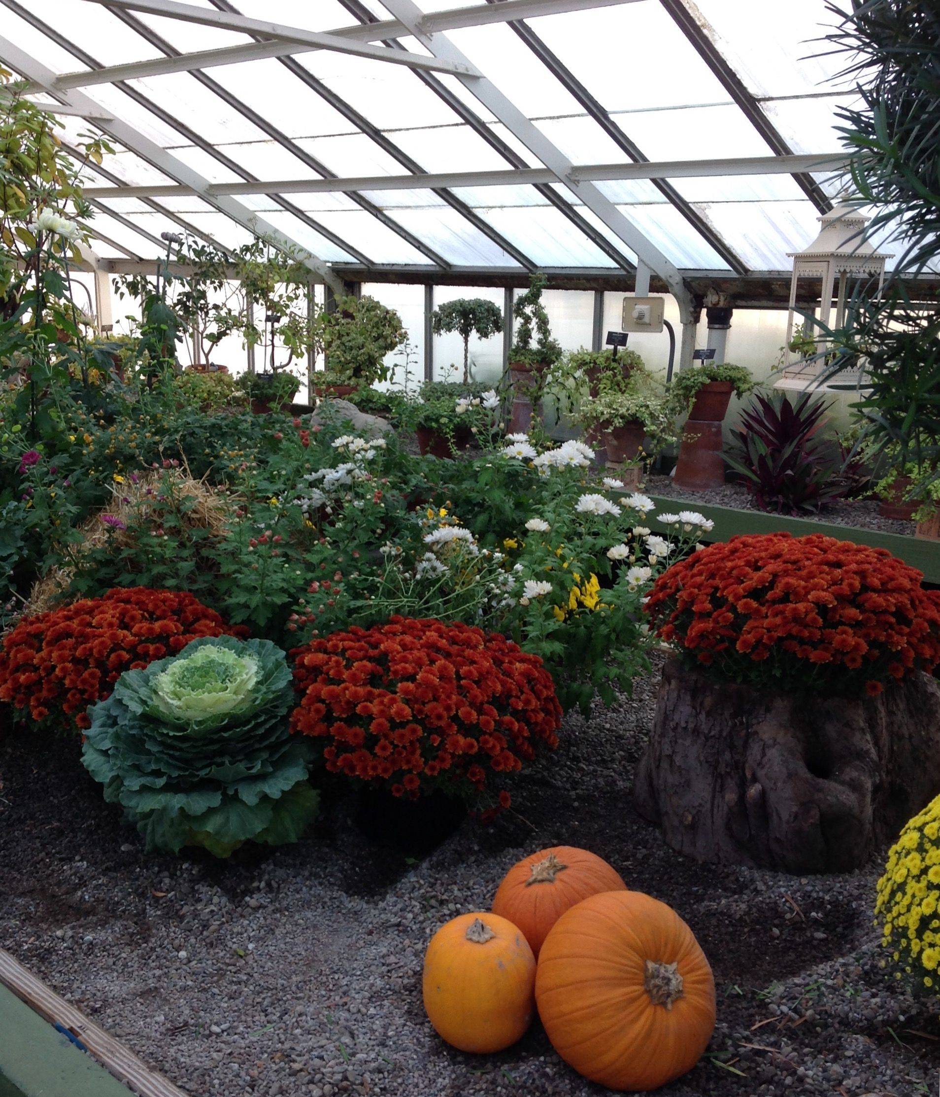 23 Buffalo Botanical Garden Ideas To Try This Year | SharonSable