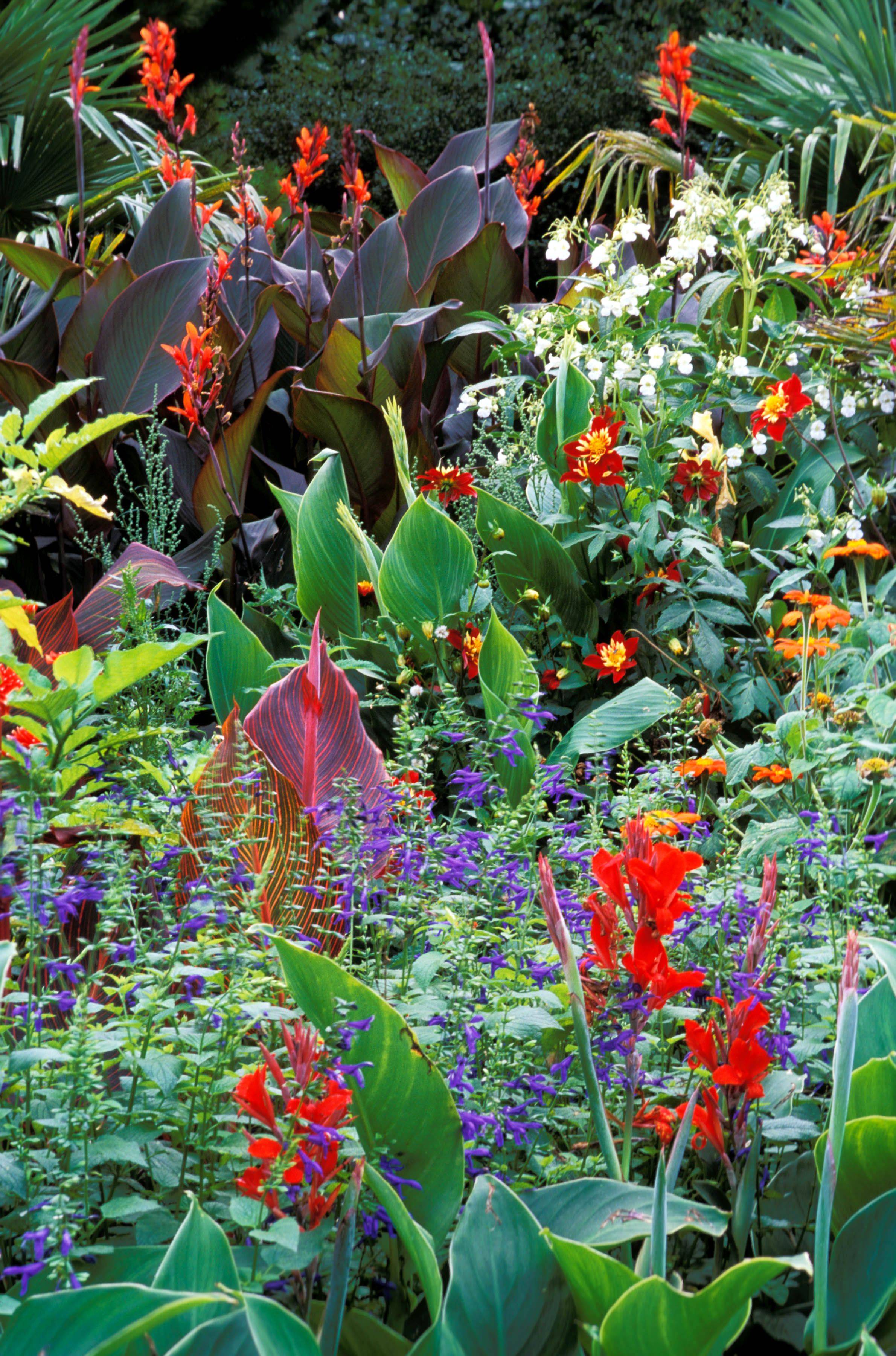 19 Tropical Flower Garden Design Ideas To Try This Year | SharonSable