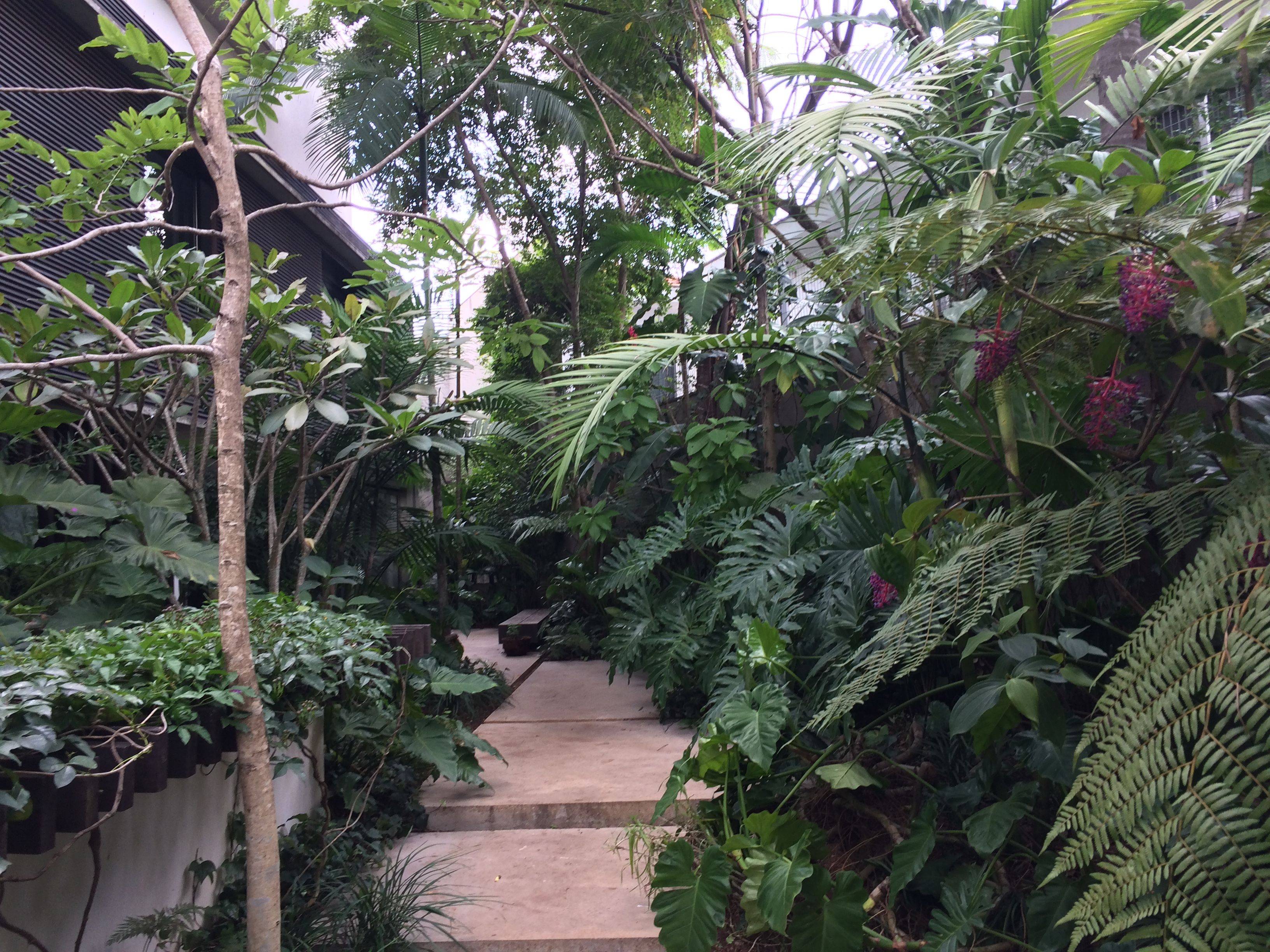 25 Subtropical Garden Ideas You Gonna Love | SharonSable