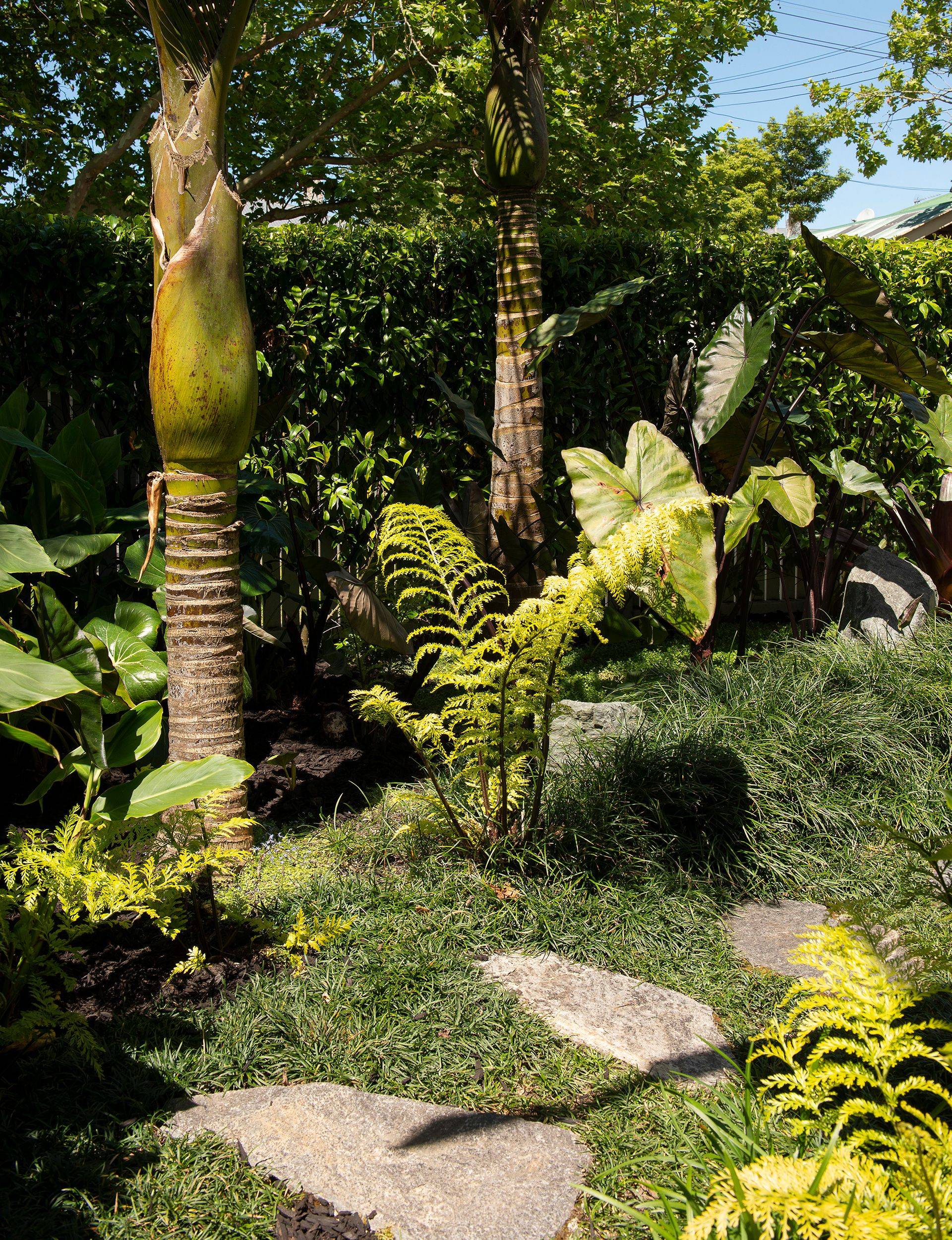 25 Subtropical Garden Ideas You Gonna Love | SharonSable