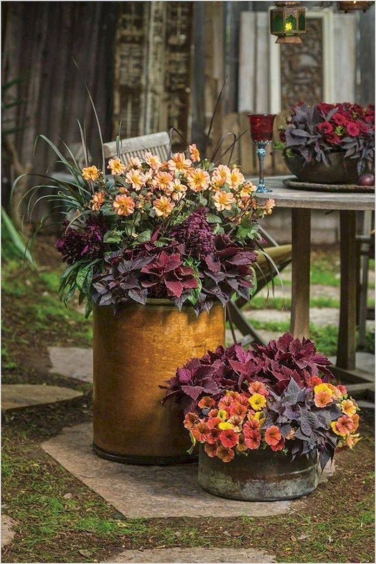 20 Beautiful Fall Garden Ideas Worth a Look | SharonSable
