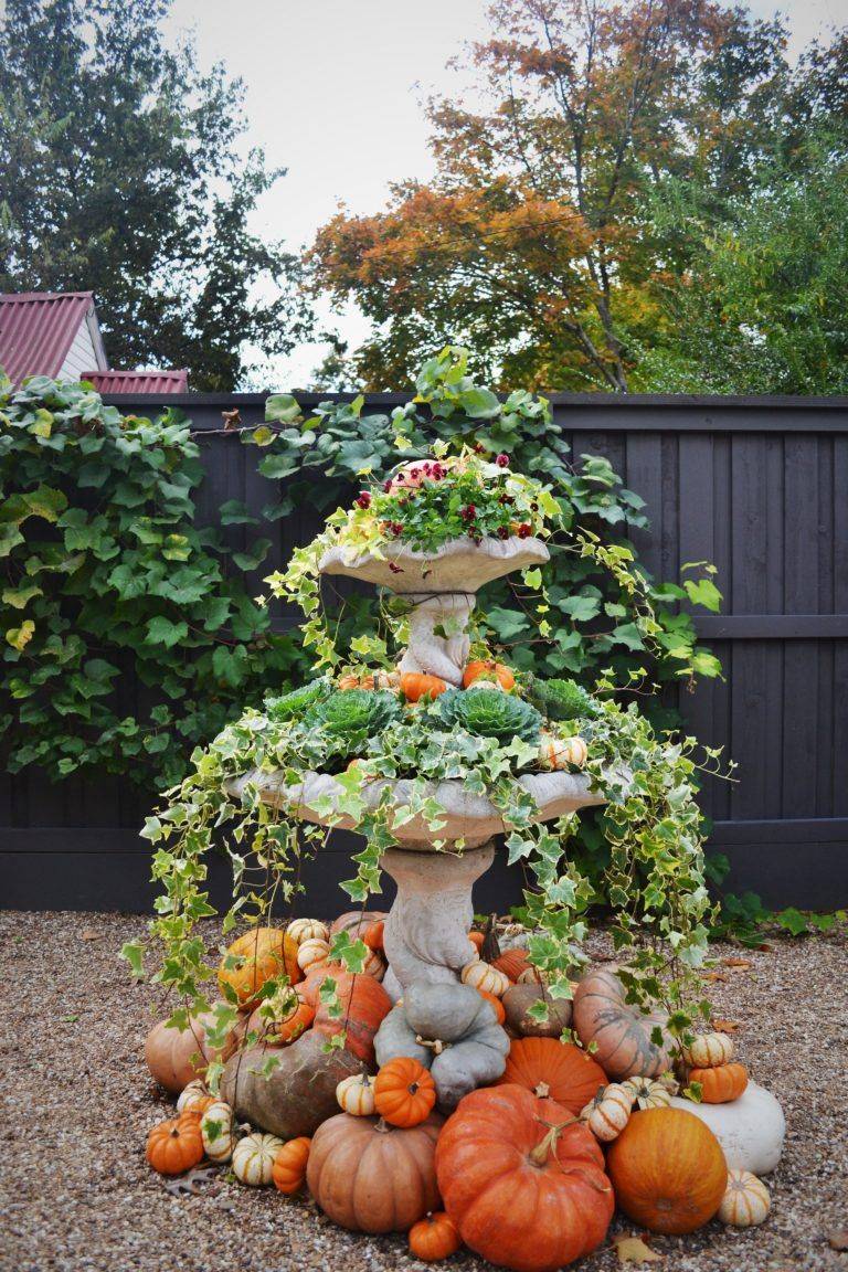 20 Beautiful Fall Garden Ideas Worth a Look | SharonSable