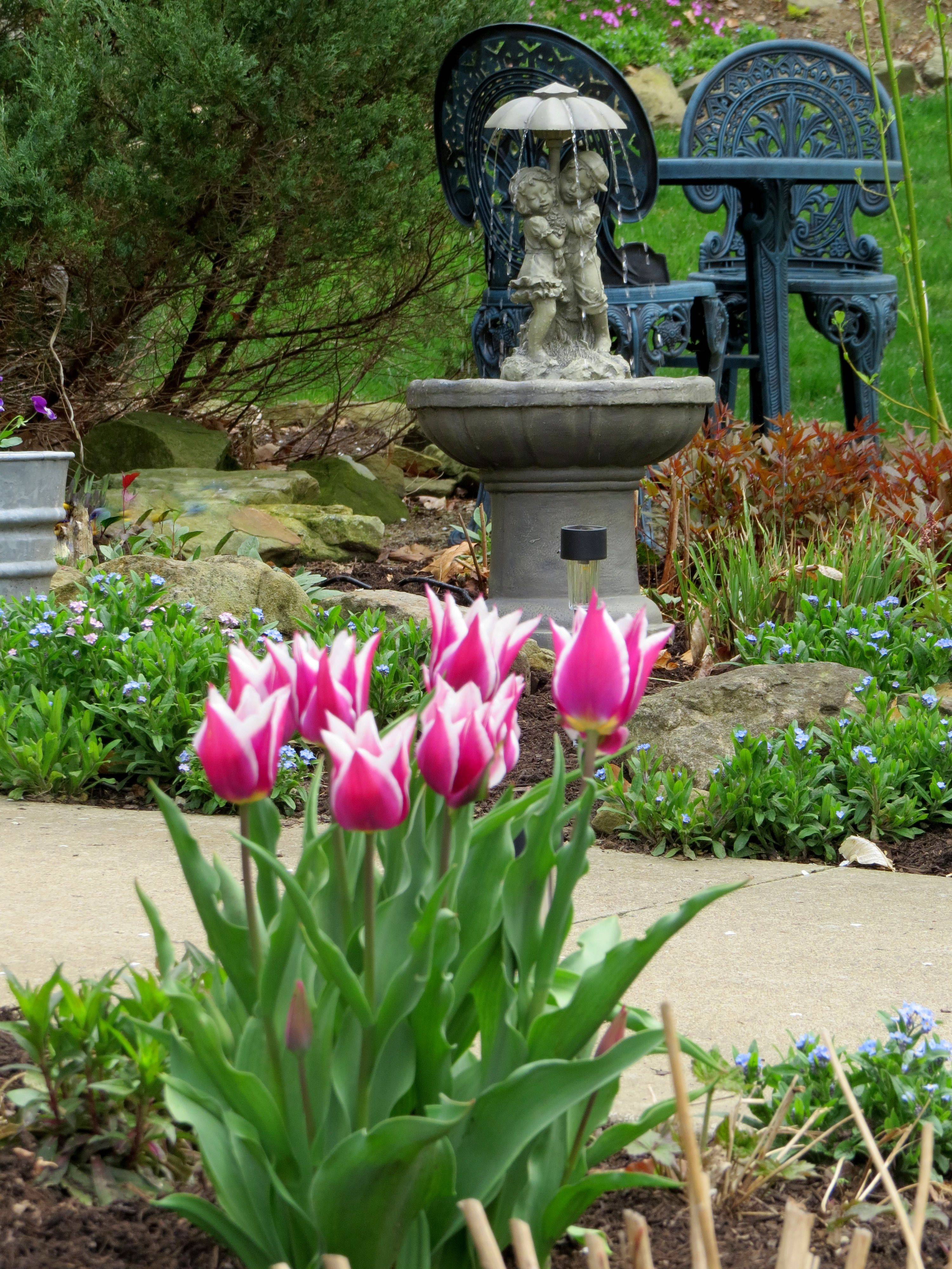 26 Most Beautiful Spring Garden Ideas You Should Check | SharonSable