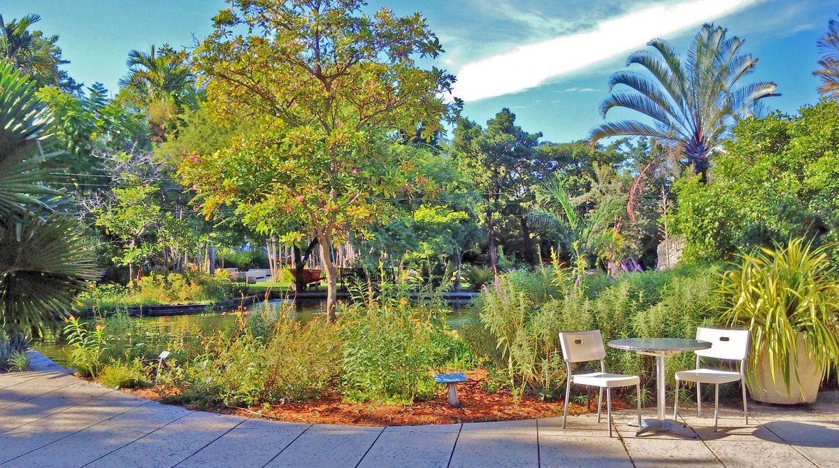 20 Miami Beach Botanical Garden Ideas You Should Look | SharonSable