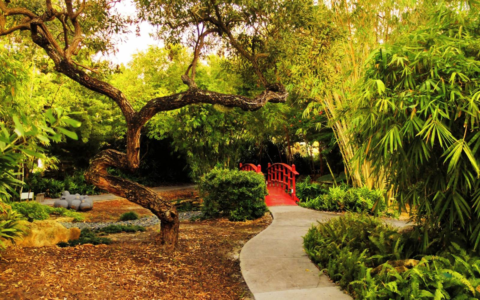 20 Miami Beach Botanical Garden Ideas You Should Look | SharonSable