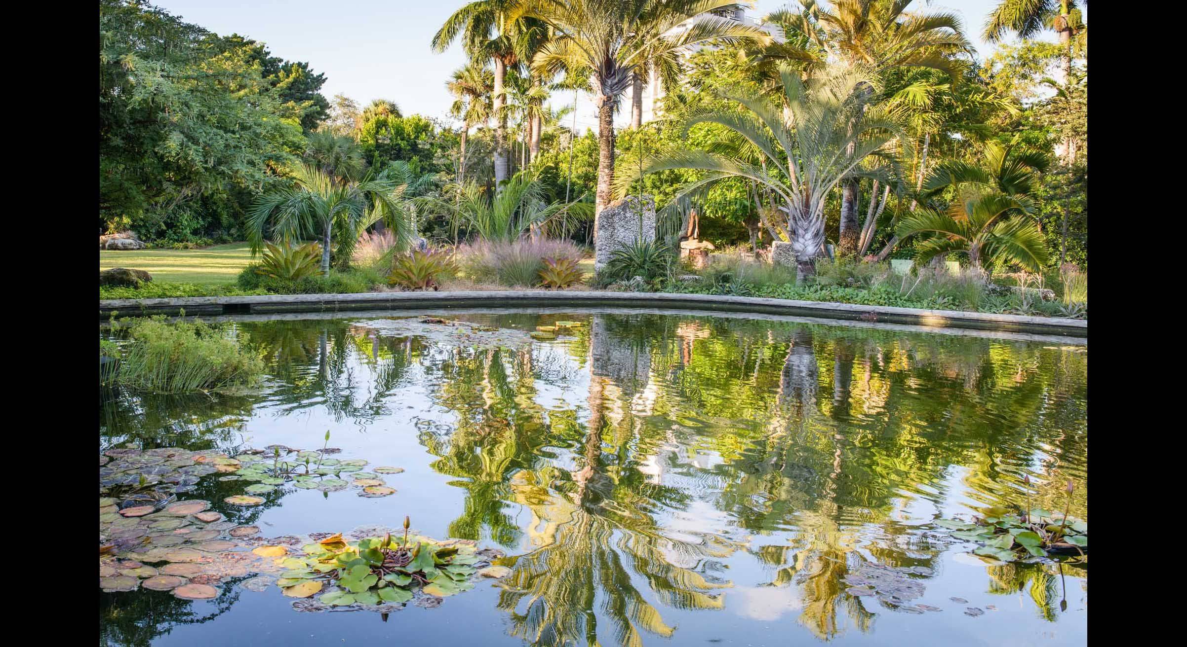 20 Miami Beach Botanical Garden Ideas You Should Look | SharonSable