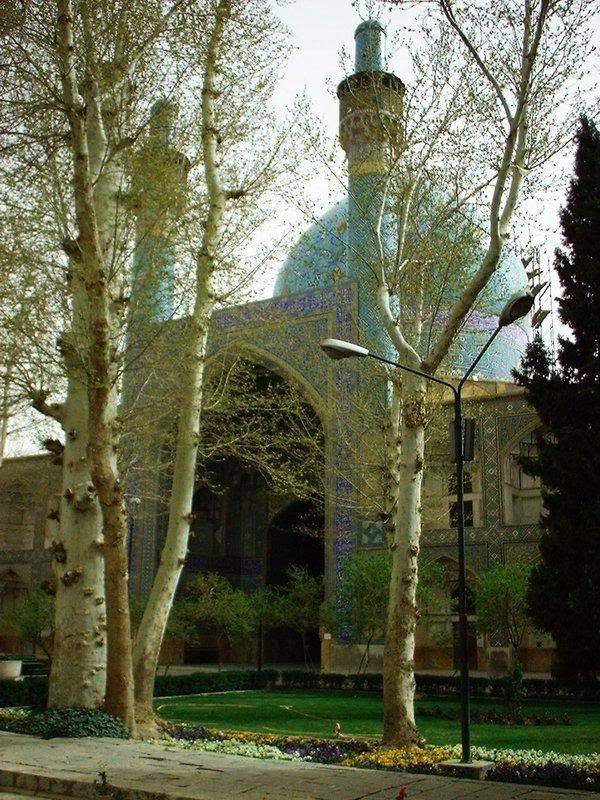 19 Chahar Bagh Garden Ideas To Try This Year | SharonSable