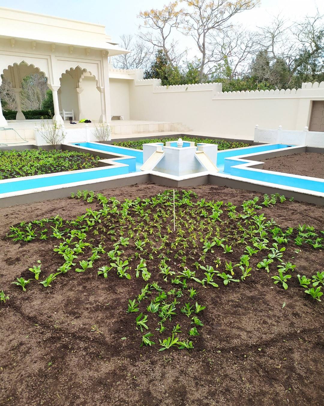 19 Chahar Bagh Garden Ideas To Try This Year | SharonSable