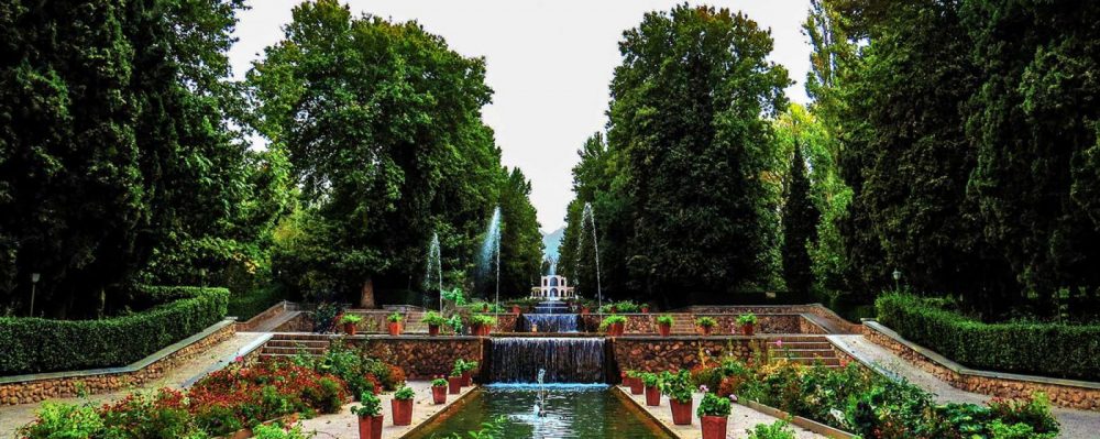 20 Shazdeh Mahan Garden Ideas To Consider | SharonSable