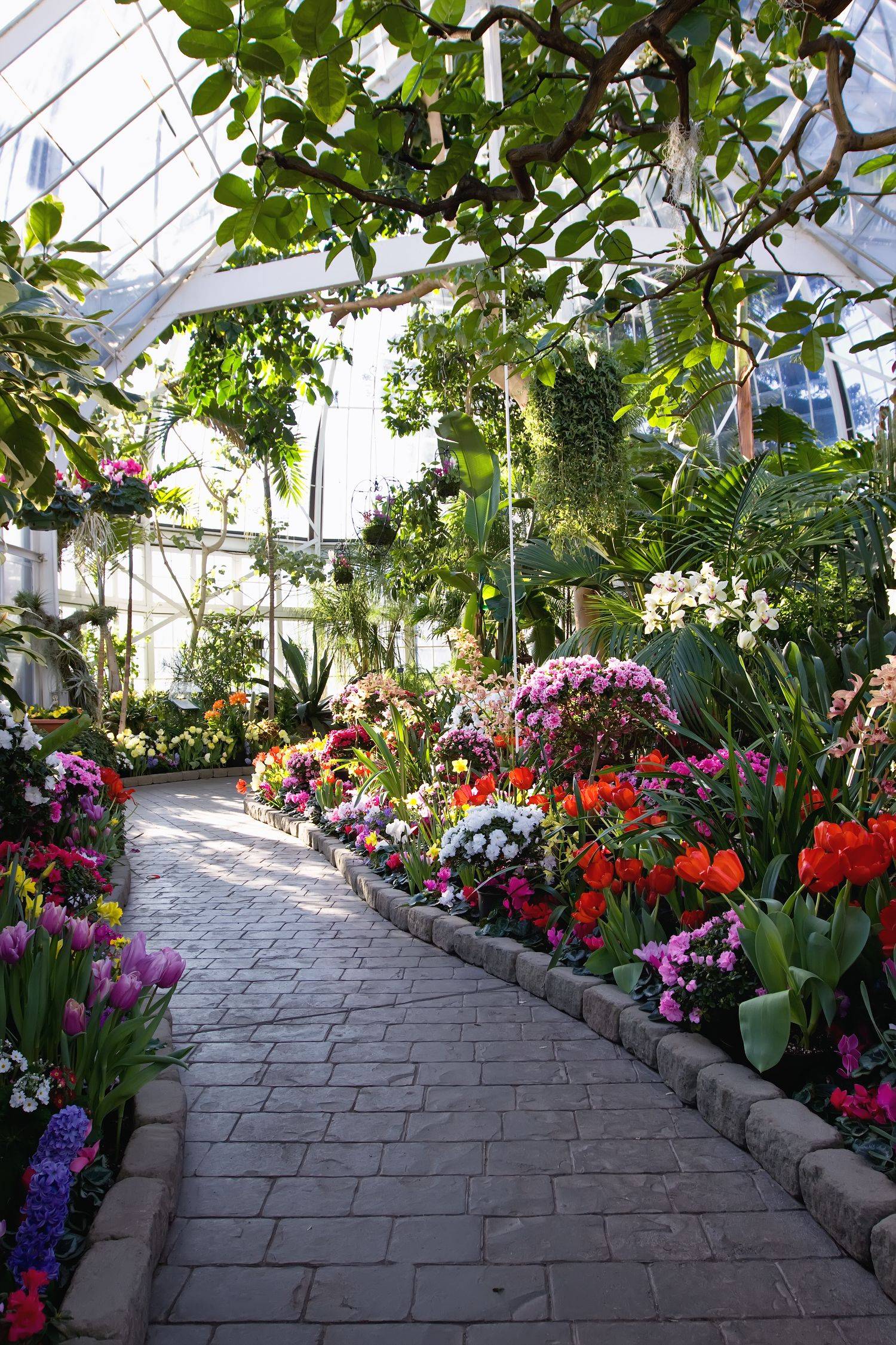 23 Washington Park Botanical Garden Ideas You Gonna Love | SharonSable