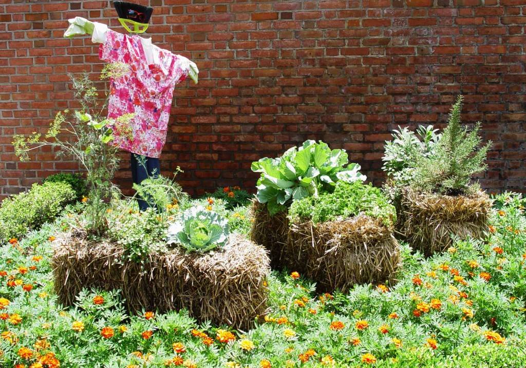 23 Bale Gardening Ideas To Consider | SharonSable