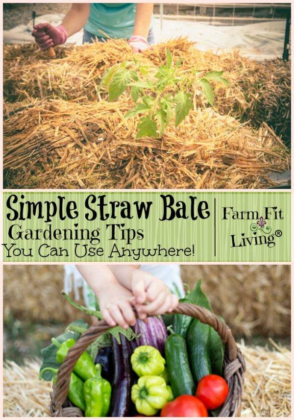 23 Bale Gardening Ideas To Consider | SharonSable