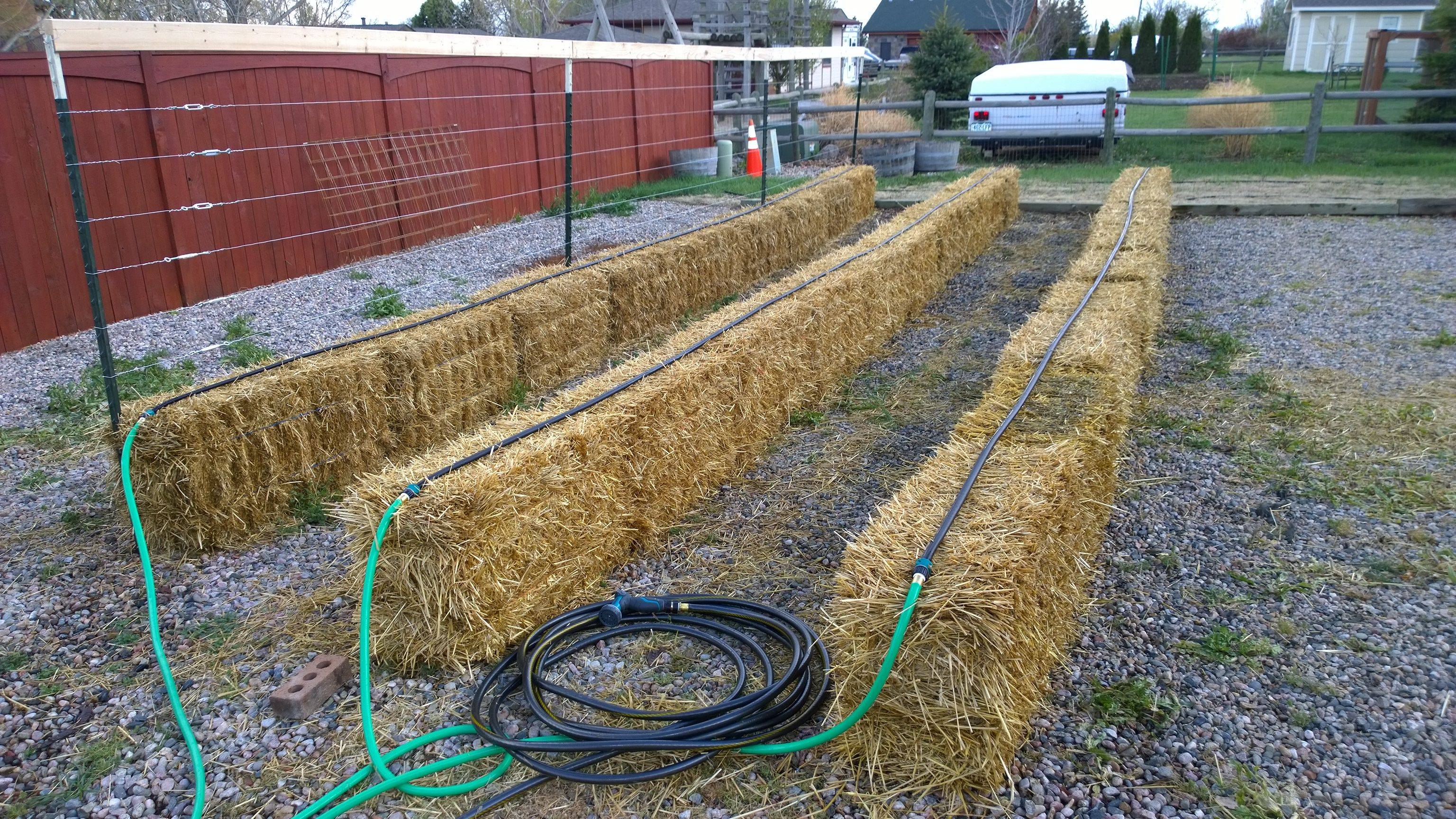 23 Bale Gardening Ideas To Consider | SharonSable