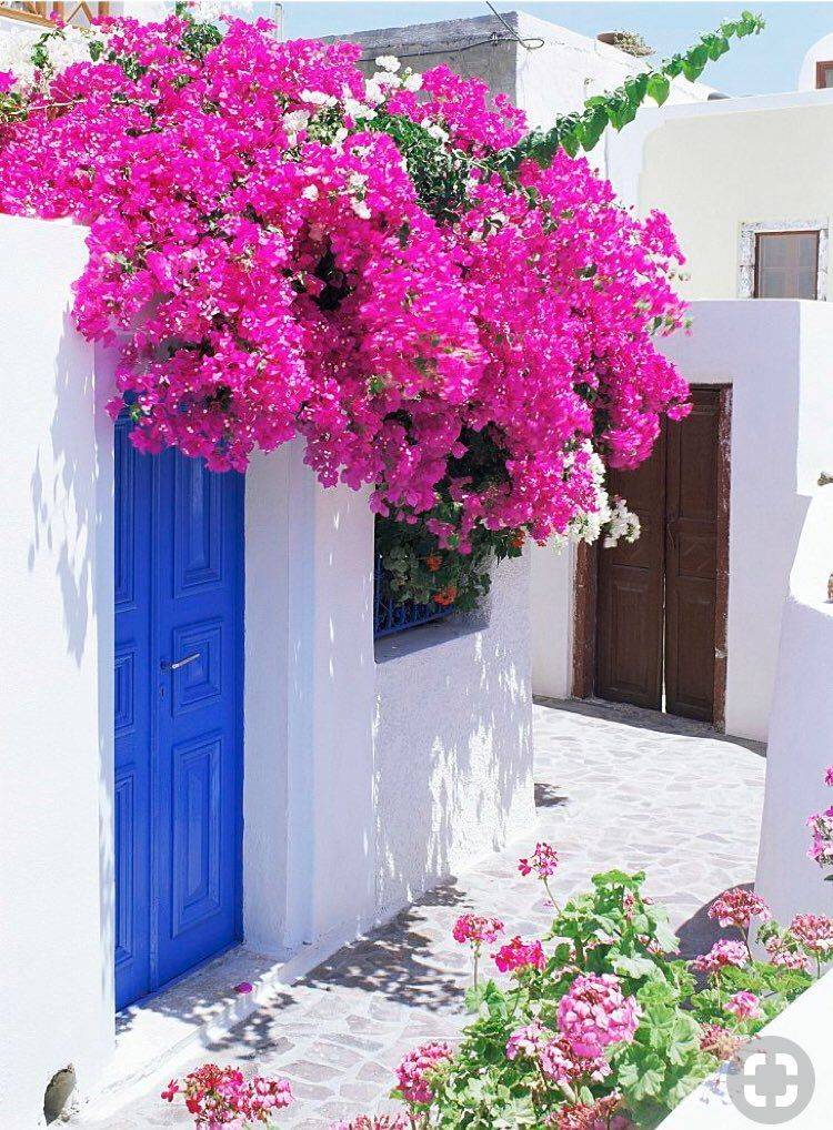21 Beautiful Greek Garden Ideas To Try This Year | SharonSable