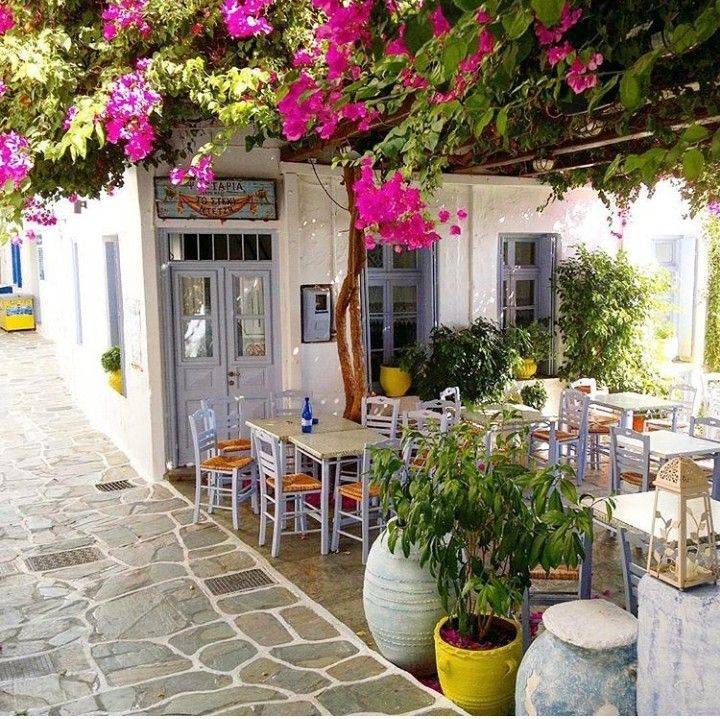 21 Beautiful Greek Garden Ideas To Try This Year | SharonSable