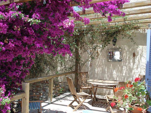 21 Beautiful Greek Garden Ideas To Try This Year | SharonSable