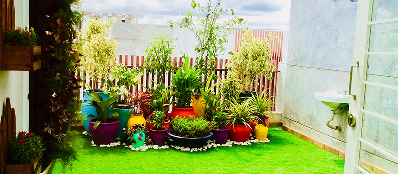 22 Beautiful Garden in Bangalore Ideas To Consider | SharonSable
