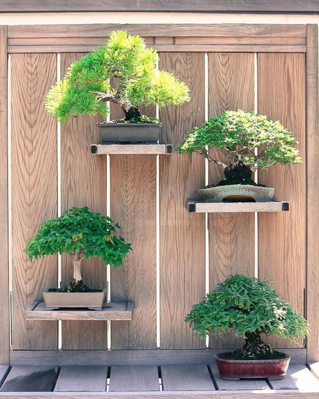 22 Bonsai Garden Ideas To Consider | SharonSable