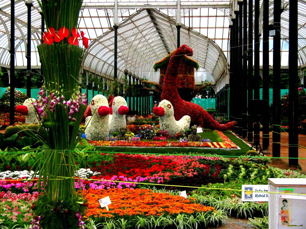 20 Lalbagh Botanical Garden Bengaluru Ideas For This Year | SharonSable