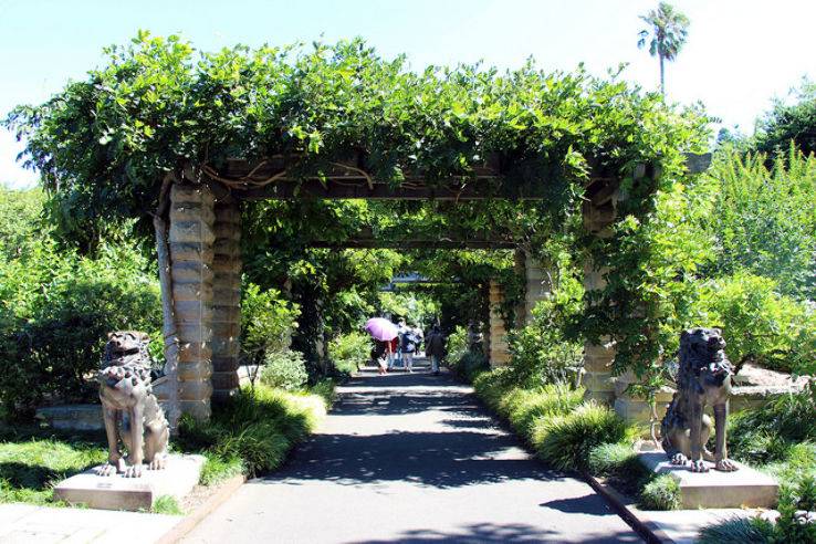 22 Botanical Garden in India Ideas You Cannot Miss | SharonSable