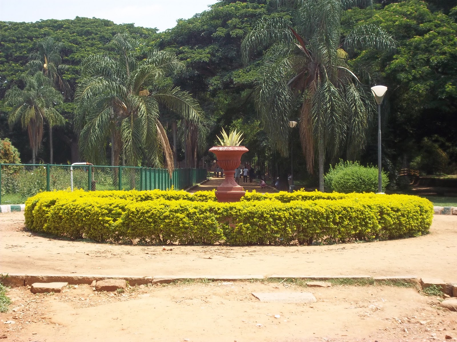 19 Mysore Botanical Garden Ideas You Cannot Miss | SharonSable