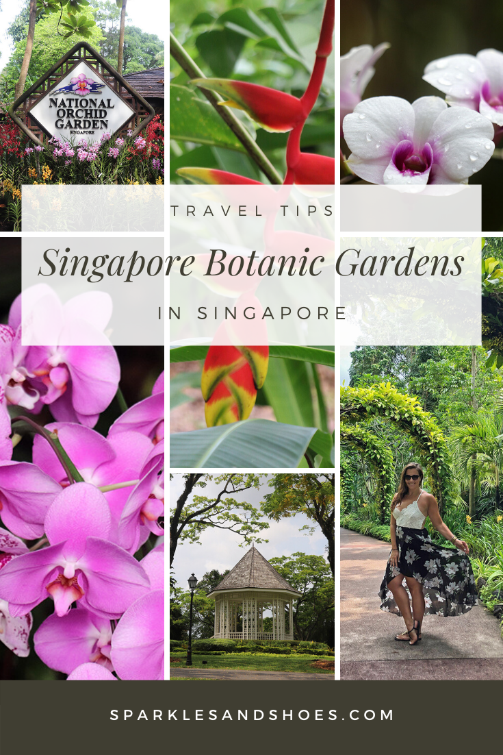 24 Singapore Botanic Garden Logo Ideas For This Year | SharonSable