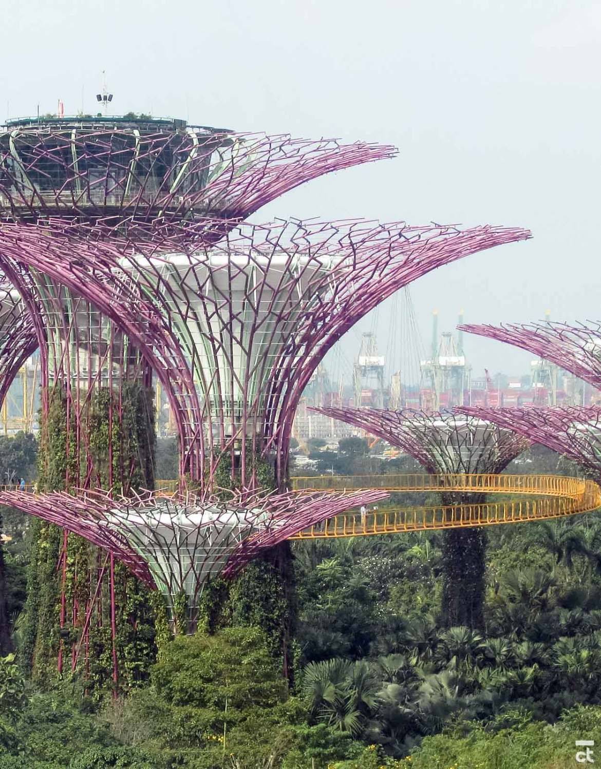 20 Supertrees Singapore Botanical Garden Ideas To Try This Year ...