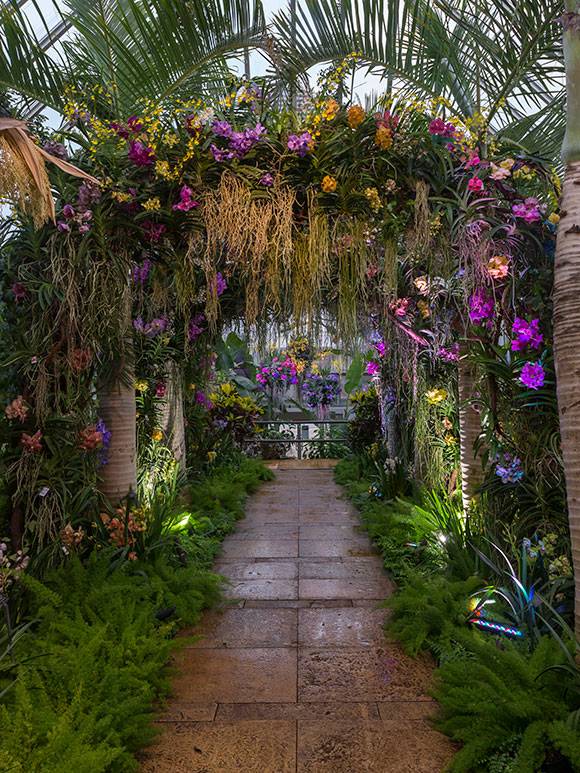 20 Orchid Garden Ideas You Cannot Miss | SharonSable
