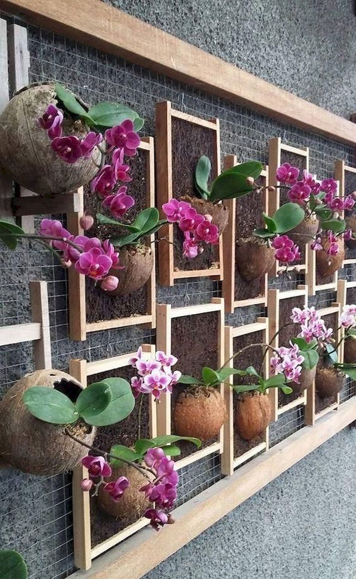20 Orchid Garden Ideas You Cannot Miss | SharonSable