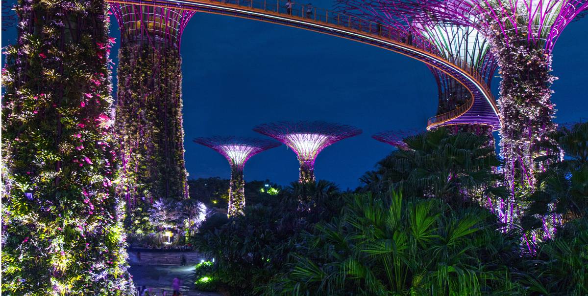 23 Singapore Botanical Garden Night Ideas You Cannot Miss | SharonSable