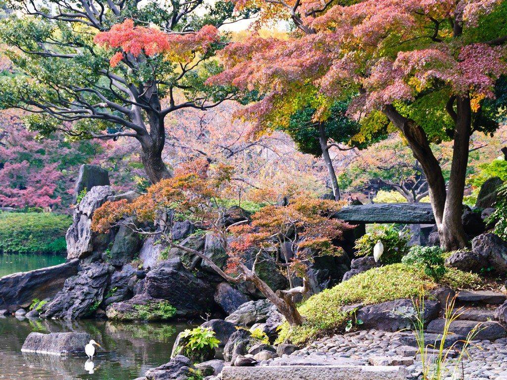 18 Koishikawa Botanical Garden Ideas You Gonna Love | SharonSable