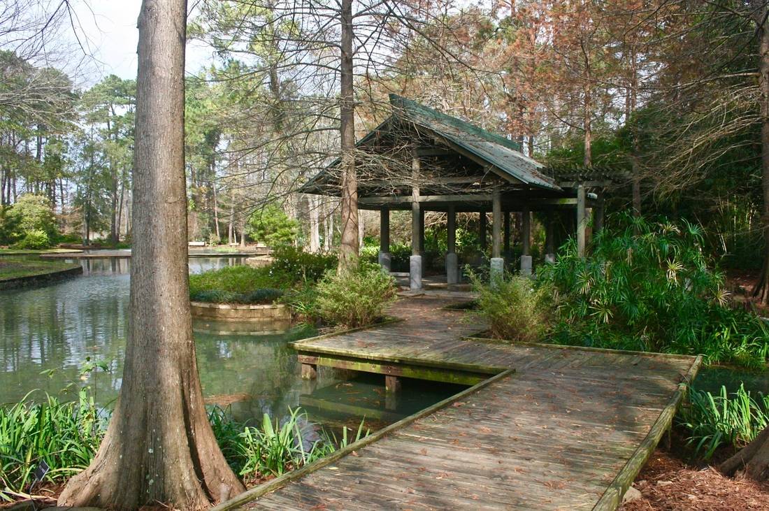20 Houston Botanical Garden Ideas For This Year | SharonSable