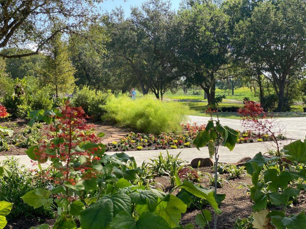 20 Houston Botanical Garden Ideas For This Year | SharonSable