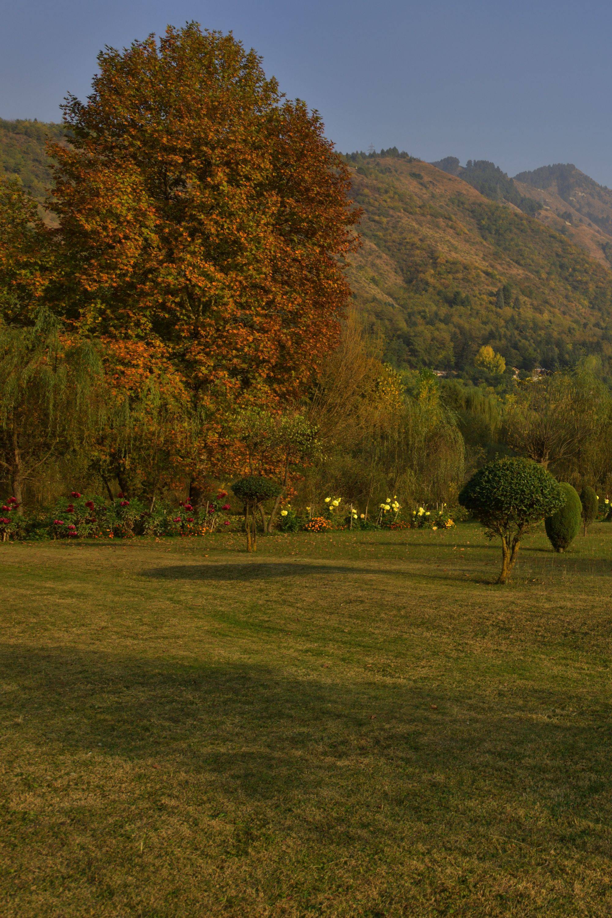 22 Botanical Garden Kashmir Ideas You Must Look | SharonSable