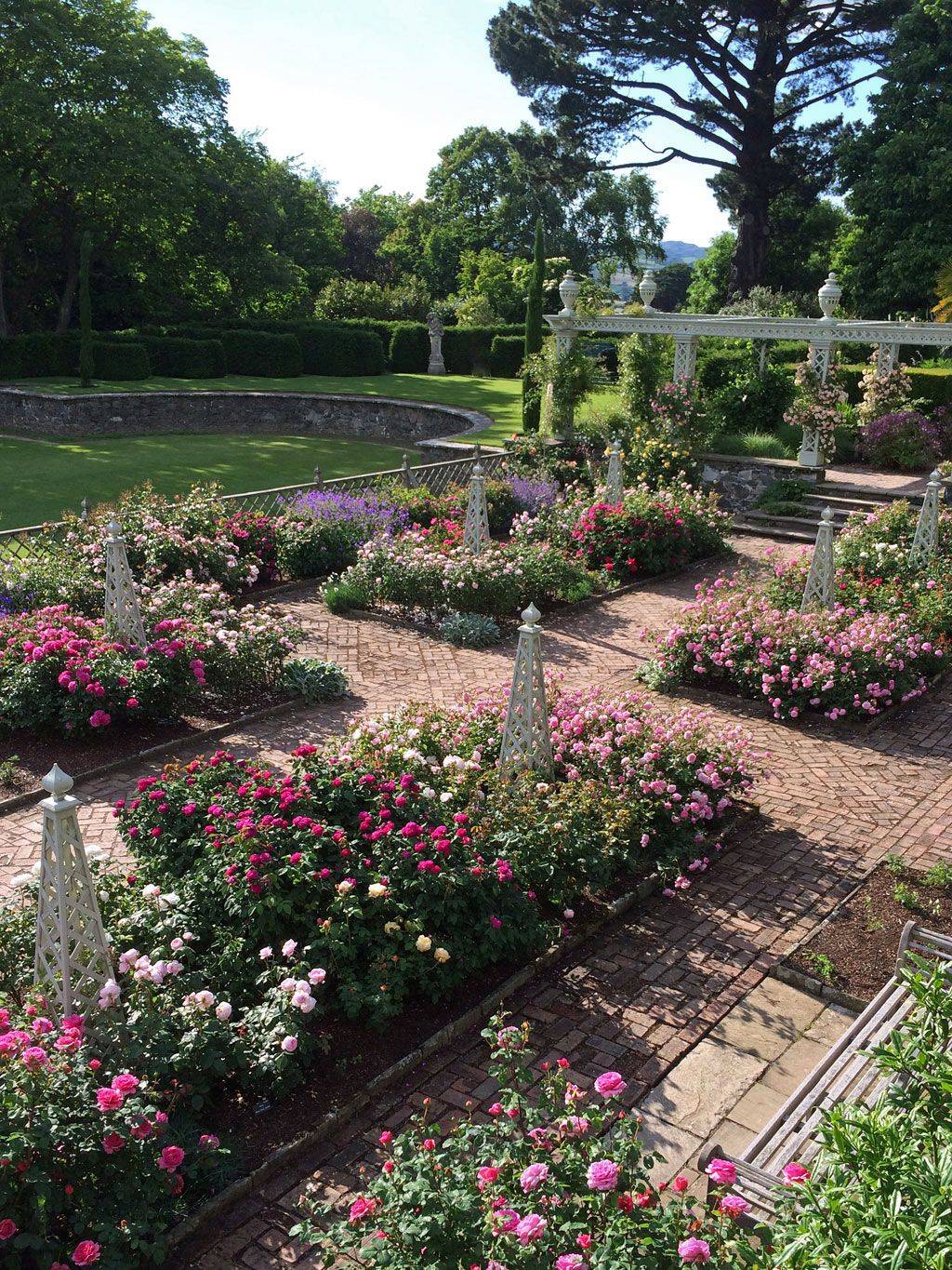 24 Rose Garden in India Ideas Worth a Look | SharonSable