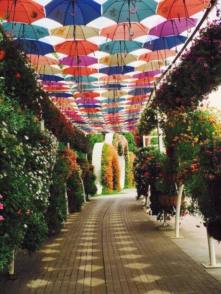 18 Arabian Garden Ideas For This Year | SharonSable