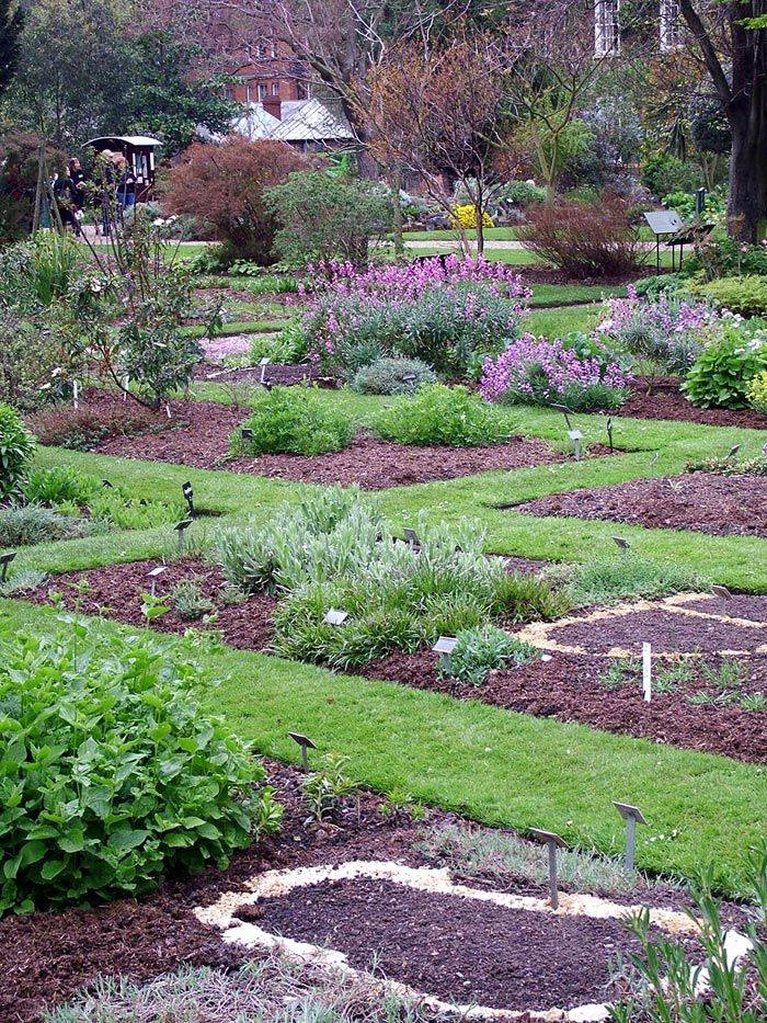 18 Physic Garden Ideas To Consider | SharonSable