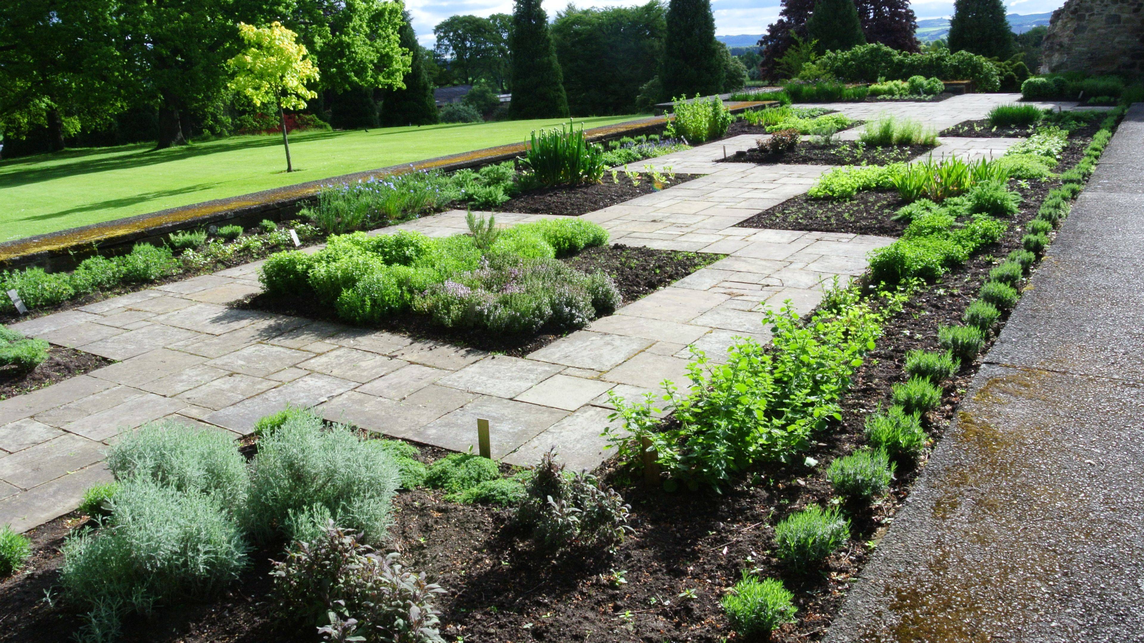 18 Physic Garden Ideas To Consider | SharonSable